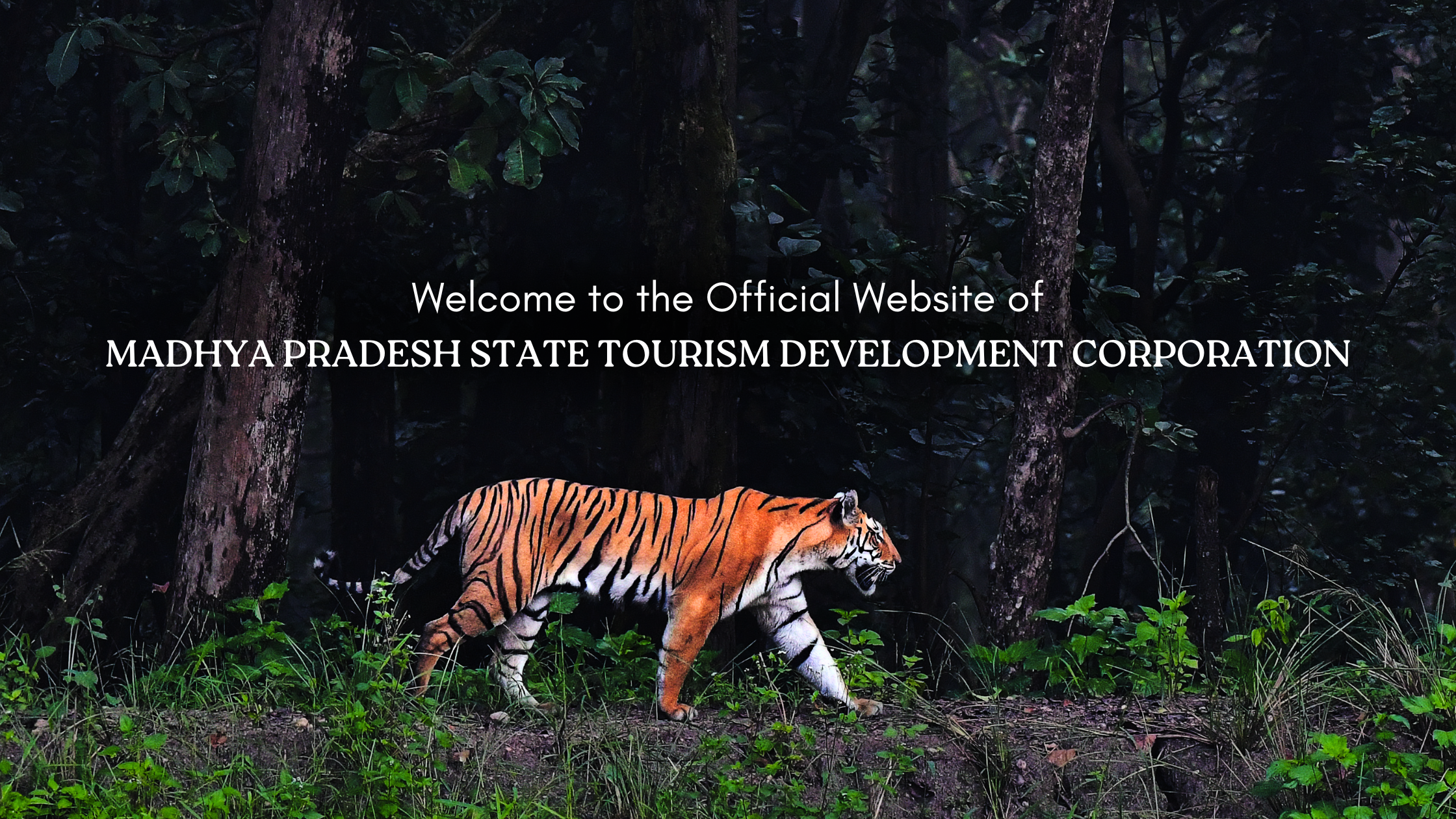 MPSTDC || Welcome To MP